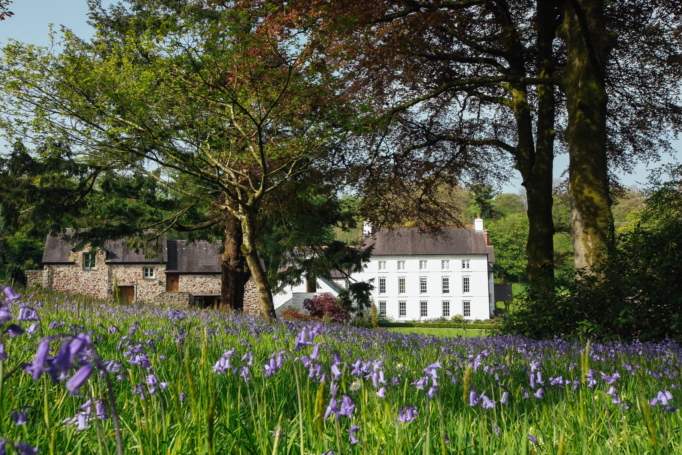 Luxury Accommodation In Narberth | House At Grove Narberth