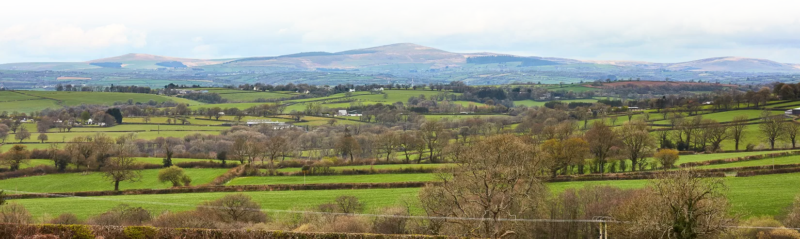 Photo Gallery | Grove Of Narberth