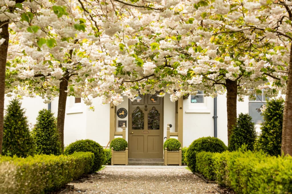 Photo Gallery | Grove Of Narberth