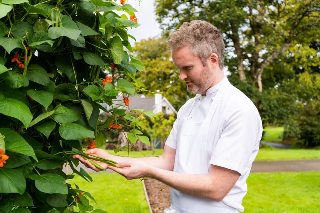 Artisan Rooms Restaurant Narberth | The Grove