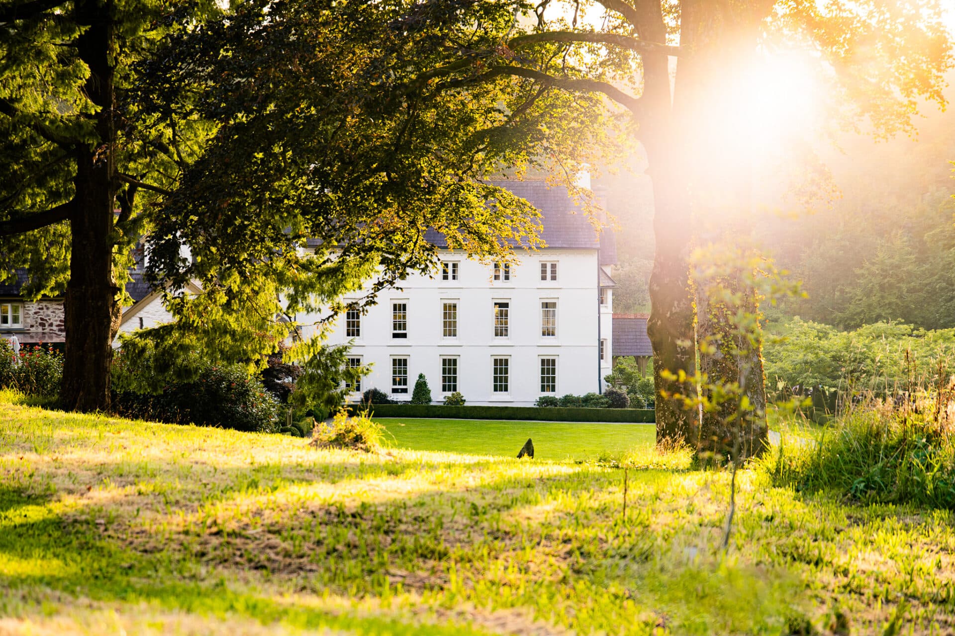 Through the Seasons - Grove of Narberth